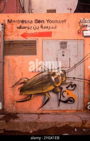 Street graffiti, Medina, Marrakesh, Morocco Stock Photo - Alamy