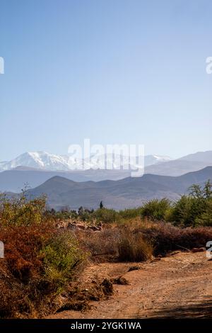 Marrakech, landscape, Ourika Valley, plants, tree, sight, mountains ...
