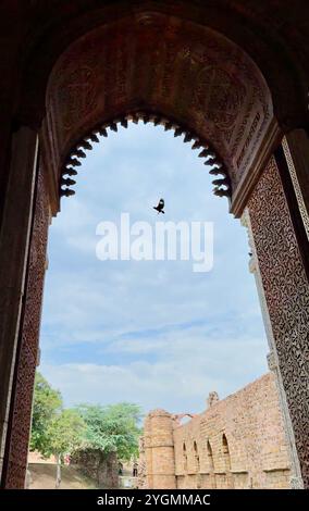 Bird at Qutub Minar, India Stock Photo - Alamy