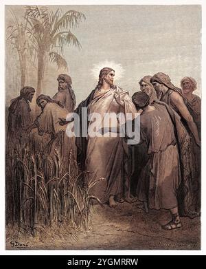 Jesus Christ in a Corn Field the Disciples started eating the Corn and ...