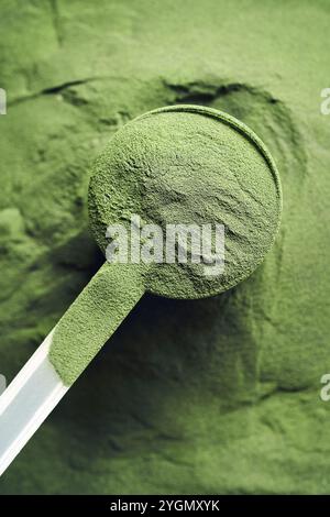 Green chlorella algae powder in a plastic measuring scoop Stock Photo ...