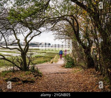 Coastal footpath along Chichester Harbour at Chidham, West Sussex, UK ...