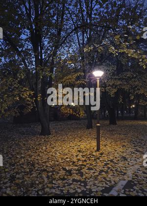 street lamp illuminates autumn leaves in the dark. street lamp in the ...
