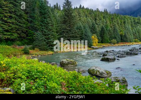 Landscape of the Chilkoot River with spruce pine trees and boulders ...