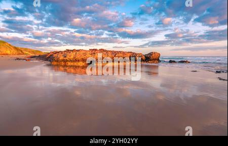 Phillip Island Victoria Australia at Forrest caves Stock Photo - Alamy