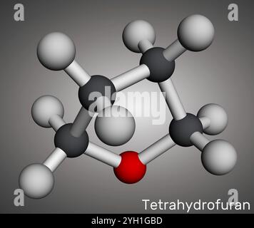 Tetrahydrofuran, THF, oxolane organic solvent molecule. Molecular model ...