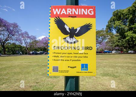 Bird swooping warning sign Stock Photo - Alamy