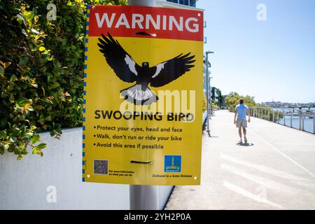 Bird swooping warning sign Stock Photo - Alamy