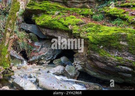 Flowing water between moss-covered rocks Stock Photo - Alamy