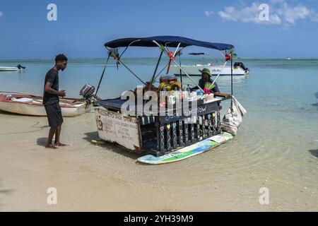 Floating sales stand, kiosk, stand, beach, beach, Ile aux Benitiers, Le ...