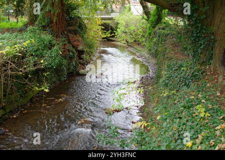 Small shallow village stream example Stock Photo - Alamy