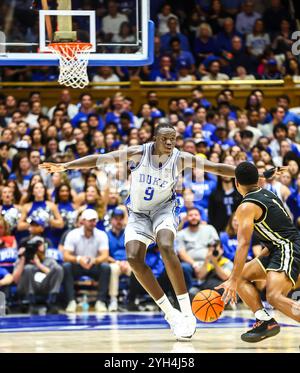 Duke center Khaman Maluach (9) and guard Sion James (14) reach for a ...