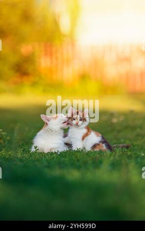 Young mother hugging cute little daughter sitting on green grass in ...