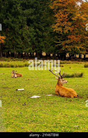 An autumn cycle tour through the Thuringian Forest on the Mommelstein ...