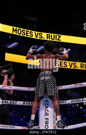 Philadelphia, Pennsylvania, USA. 9th Nov, 2024. Action between Raymond ...
