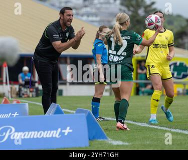 Hayley Taylor-Young of Canberra United in action during the A-League ...