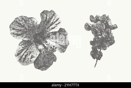 Botanical vintage elements. Photocopy effect stippling flower illustrations Stock Vector Image ...