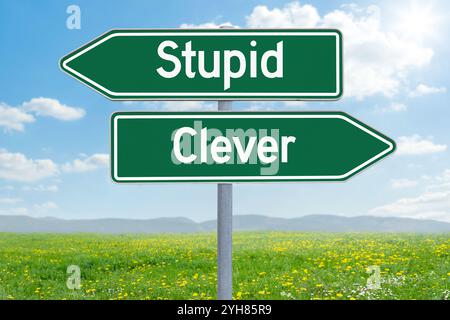 Street Sign the Direction Way to Clever versus Stupid Stock Photo - Alamy