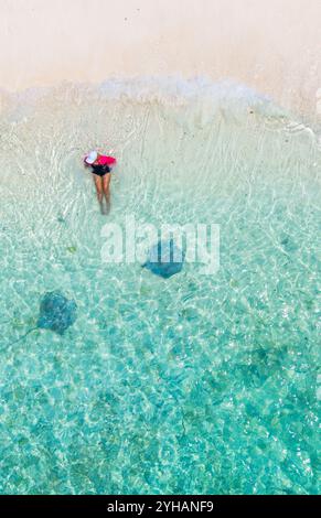 View of Stingrays on the beach in Fulidhoo island, Maldives Stock Photo ...