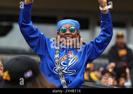 The Los Tigres del Licey fans cheer during the baseball game against ...
