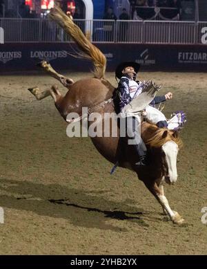 Toronto, Canada. 10th Nov, 2024. Cowboy Trevor Van Alstine falls from ...