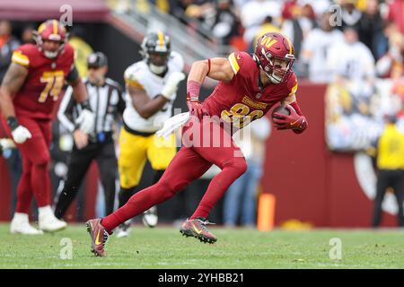 Pittsburgh Steelers tight end Zach Gentry (81) looks on during the ...