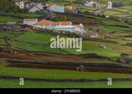 Agriculture fields at Azores islands tracror working on the field ...