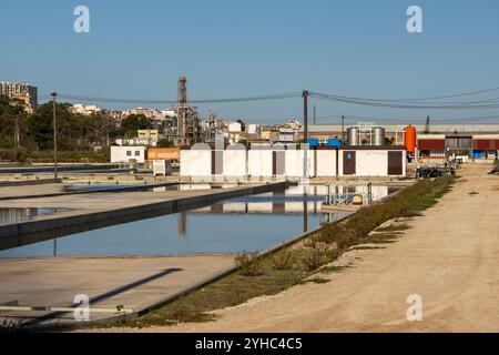 Open air algae farm reflecting blue sky at algatec eco business park ...