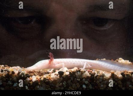 Texas - Edwards Aquifer Stock Photo - Alamy