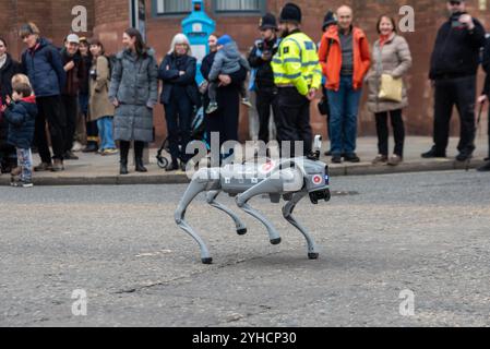 Next Gen Ri Unitree Go2 Air Robot Dog at the Lord Mayor's Show parade ...