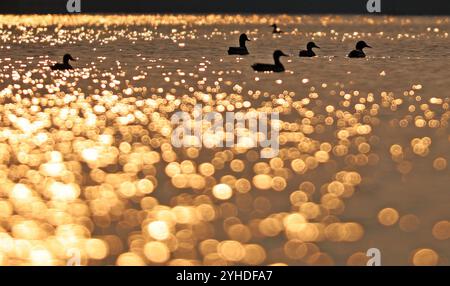 Tancheng, China's Shandong Province. 11th Apr, 2022. Farmers tend ...