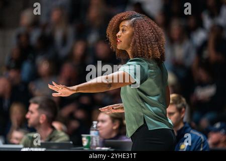 Notre Dame head coach Niele Ivey, center, looks on during the second half of an NCAA college ...
