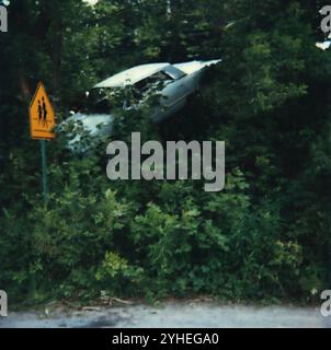 CAR STUCK IN A TREE AFTER FLOOD BDB HORIZONTAL Stock Photo - Alamy