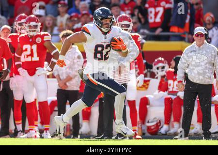 Denver Broncos tight end Adam Trautman in action during an NFL football ...