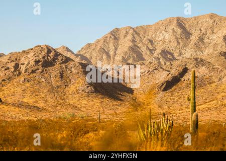 Sonoran Desert, El Pinacate Biosphere Reserve and the Great Altar ...
