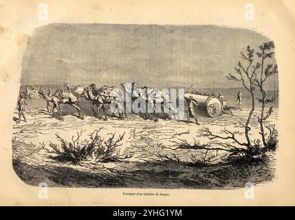 during the construction of the Suez Canal, camels pulling dredging ...