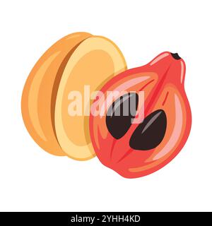 simple vector illustration of a ackee, in a simple and clean style ...