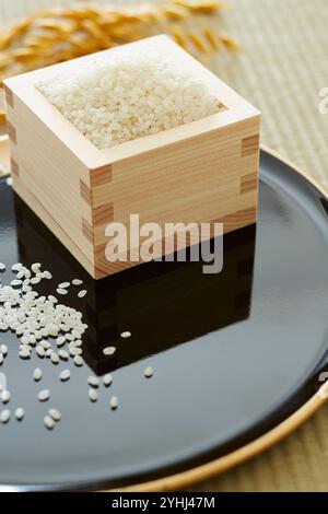 Indoor rice paddy Stock Photo - Alamy
