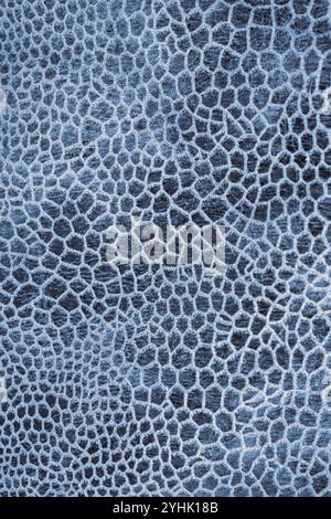 Colorful reptile skin imitation, textured background Stock Photo - Alamy