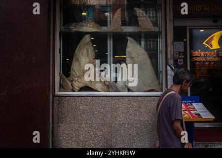 Shark fins seen displayed at the restaurant of Yaowarat, the Chinatown ...