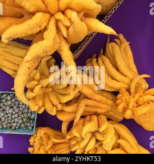 A rare fruit: Buddha's hand (or Citrus medica sarcodactylus Stock Photo ...