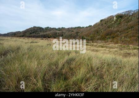 Nicholaston Woods and Burrows, Oxwich National Nature Reserve, Gower ...