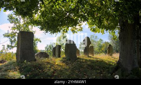 an old graveyard under a large oak tree in backlight, mystical ...