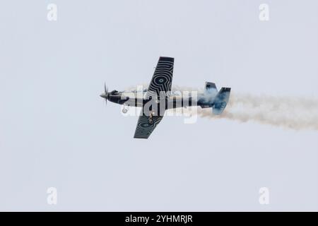 Daedalus Beechcraft T-6 Texan II is a single-engine turboprop aircraft ...