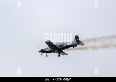 Daedalus Beechcraft T-6 Texan II is a single-engine turboprop aircraft ...