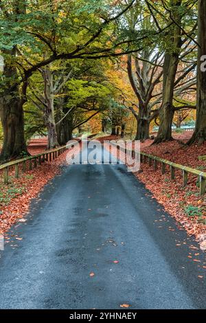 Autumn colours in rural Kent, England, UK Stock Photo - Alamy