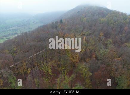 Owen, Germany. 12th Nov, 2024. The last leaves are falling from the ...