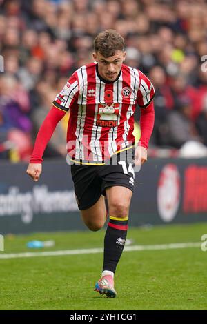 Sheffield United defender Harrison Burrows (14) during the Sheffield ...