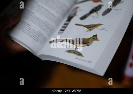 The Birds of Costa Rica book by Richard Garrigues and Robert Dean Stock ...