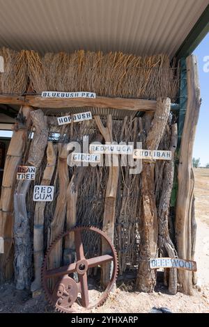 The historical Burke and Wills Dig Tree at Cooper Creek, near ...
